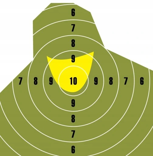 Tarcza strzelecka tarcze do strzelania cel - sd3 - 10846489740 - Allegro.pl