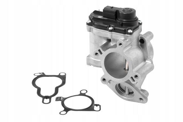 Zawór EGR BorgWarner (Wahler) 710939R 710939R za 1193,99 zł z Olsztyn ...
