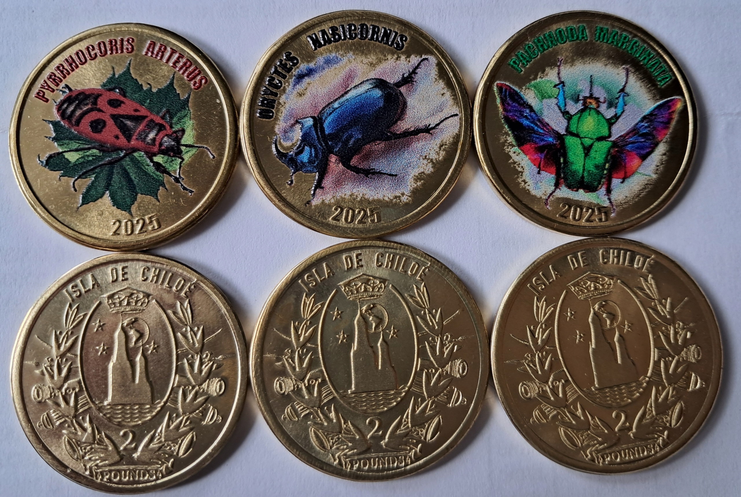 CHILE Ostrov CHILOE sada 3 mincí Chrobáky farba za 10.53EUR - Allegro