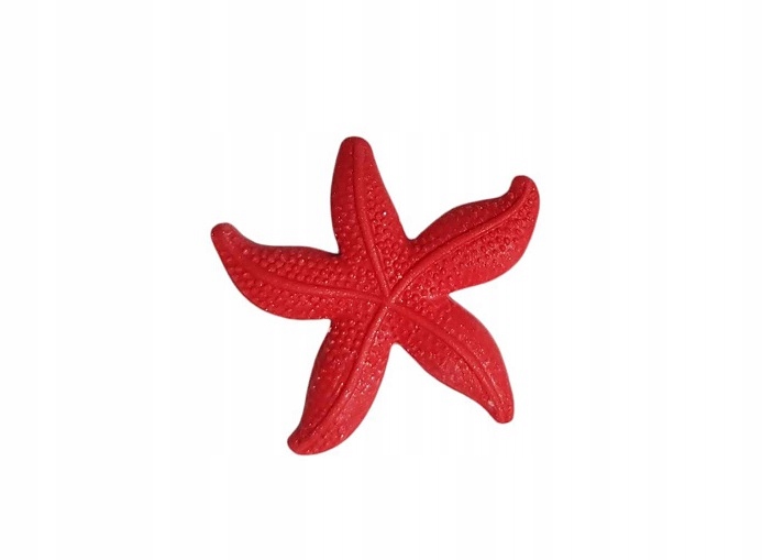 id_4062 ROZGWIAZDA CUKROWA MUSZLA OCEAN MORSKA TORT MORSKIE DEKORACJE ...