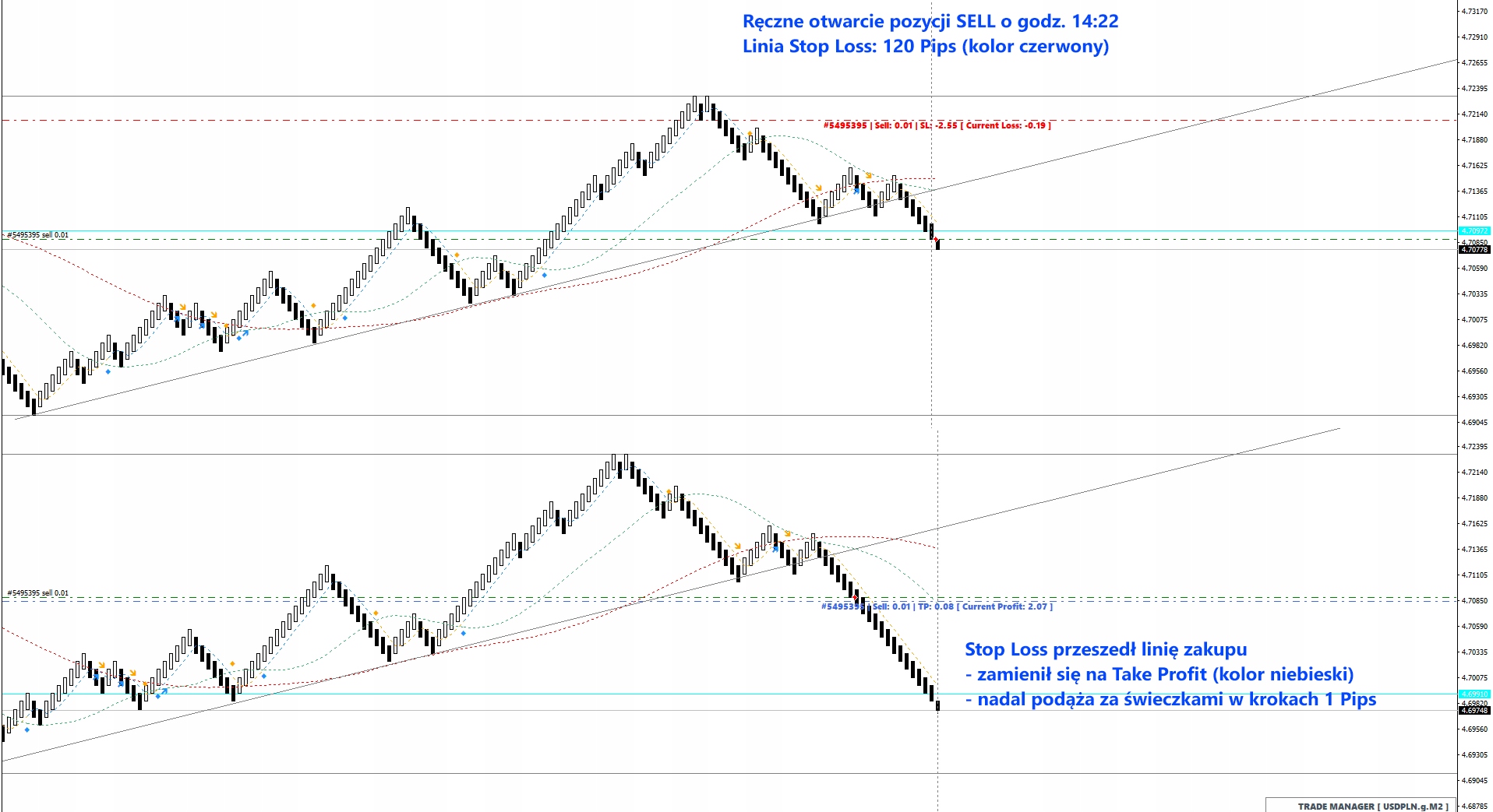 Forex - Niska cena na Allegro.pl