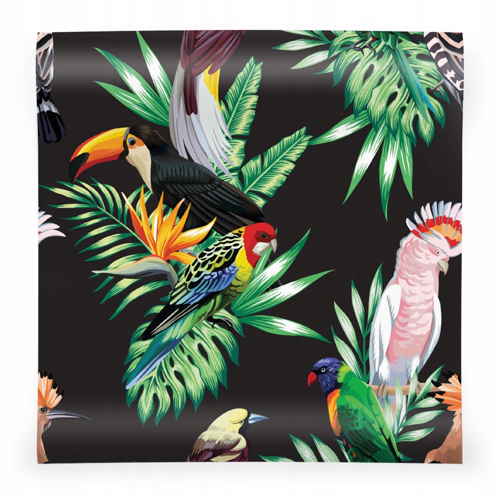 Tapeta do salonu ptaki tukany (0089687792255) • Cena, Opinie • Tapety w ...