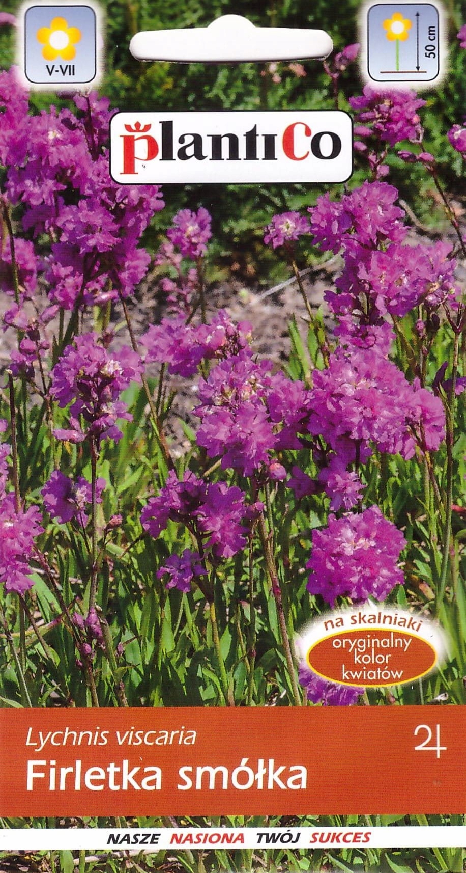 Firletka smółka, smółka pospolita nasiona 0,5g PlantiCo • Cena, Opinie ...