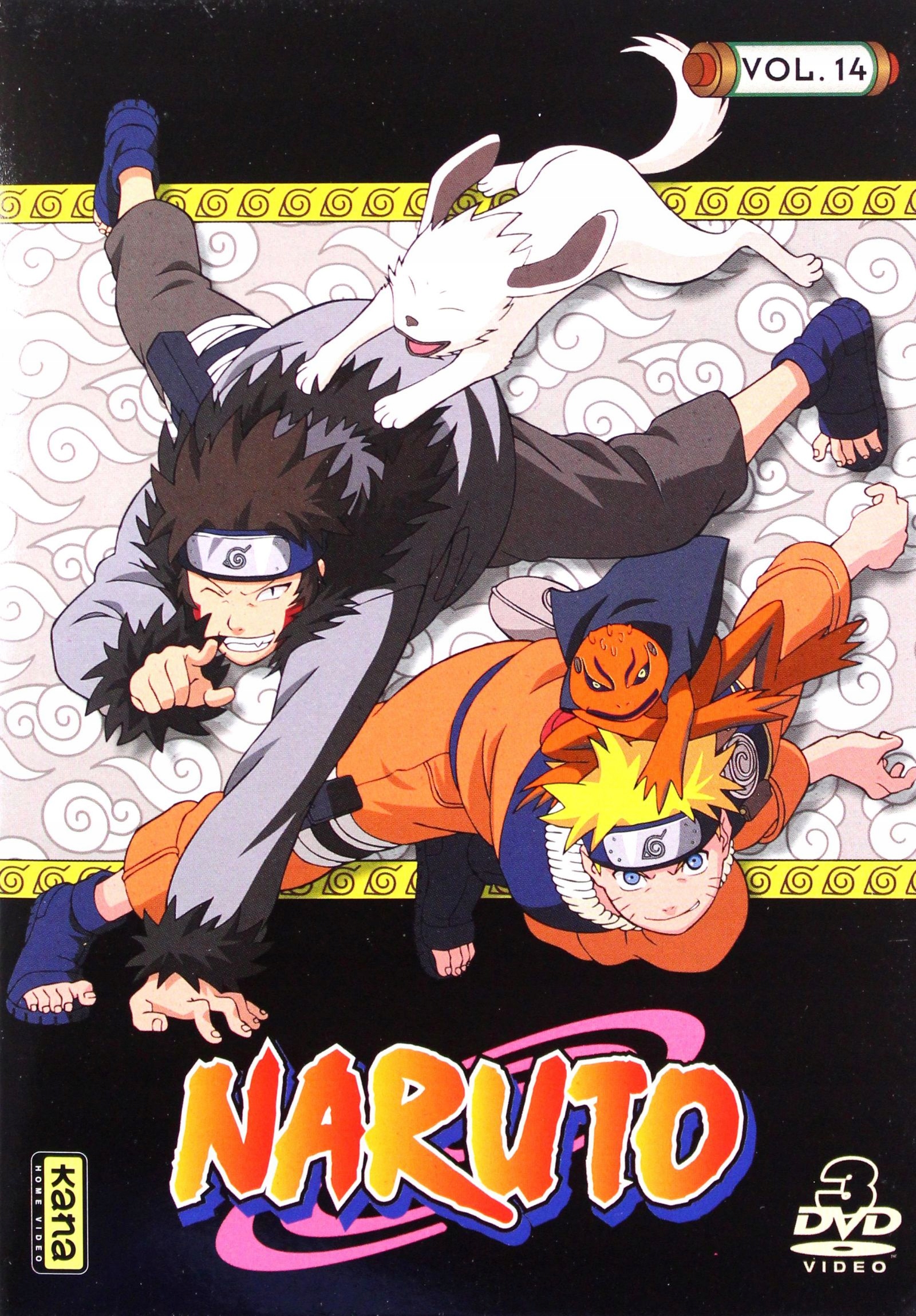 Naruto Vol. 14 DVD - Allegro