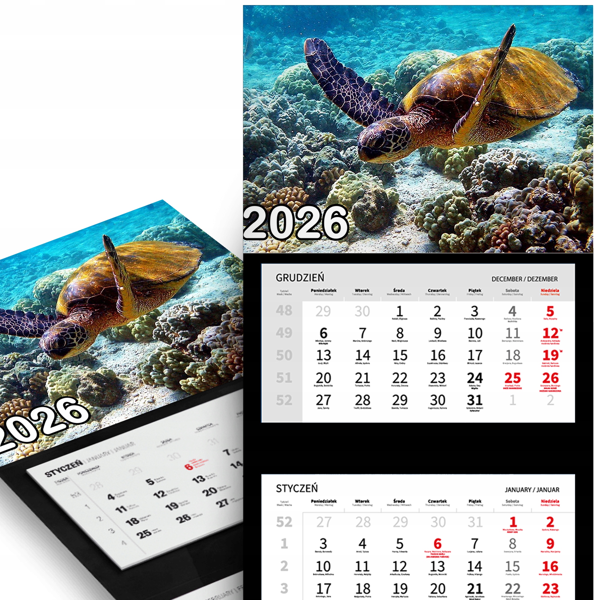 Trojdílný kalendář na rok 2026 nástěnný do kanceláře Příroda Podvodní ...