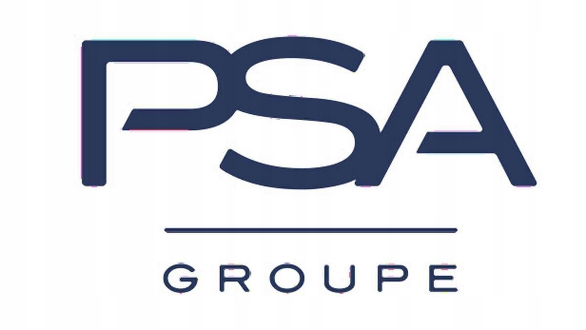 Groupe PSA 9817765280 przewód katalizatora • Cena, Opinie - Allegro
