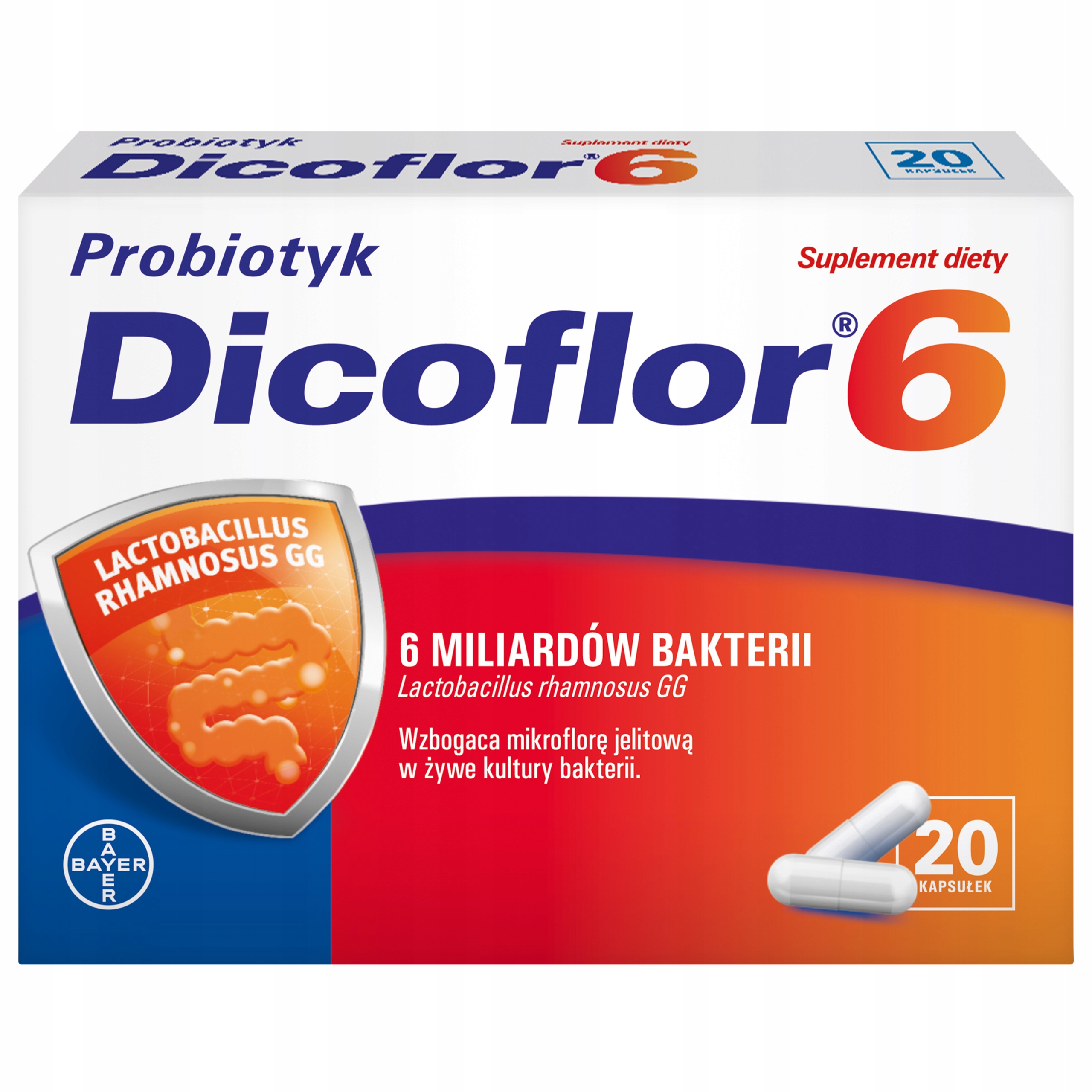 Suplement diety Bayer Dicoflor 6 probiotyk 20 kapsułek (5908229303467 ...