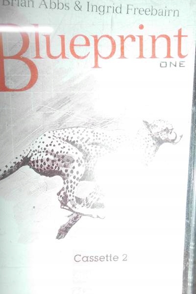 BLUEPRINT BRIAN ABBS & INGRID FREEBAIRN Kaseta • Cena, Opinie - Allegro