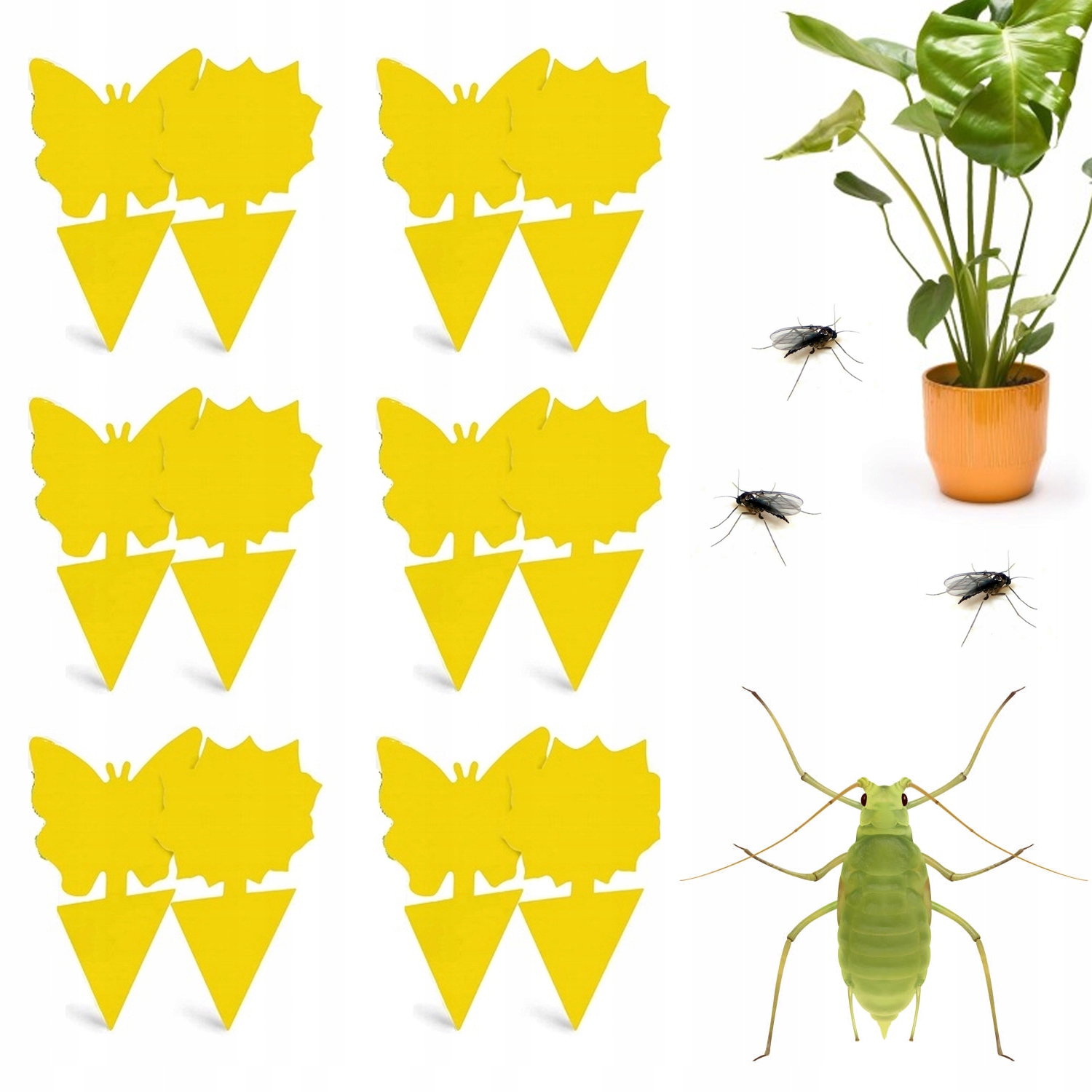12x ŻÓŁTY LEP DO DONICZEK MOTYL na ziemiórki mszyce muszki owocówki ... 12x ŻÓŁTY LEP DO DONICZEK MOTYL na ziemiórki mszyce muszki owocówki ...