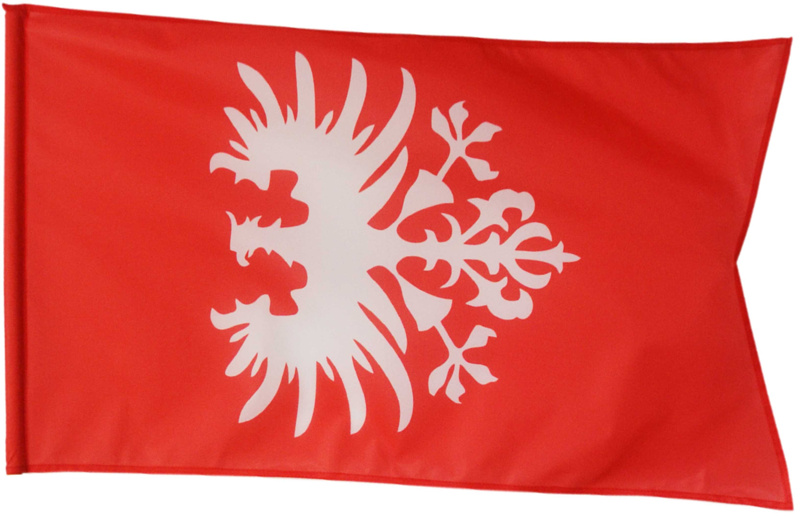 FLAGA POWSTANIE WIELKOPOLSKIE 112x70cm POWSTANIA 9941308369 - Allegro.pl FLAGA POWSTANIE WIELKOPOLSKIE 112x70cm POWSTANIA 9941308369 - Allegro.pl