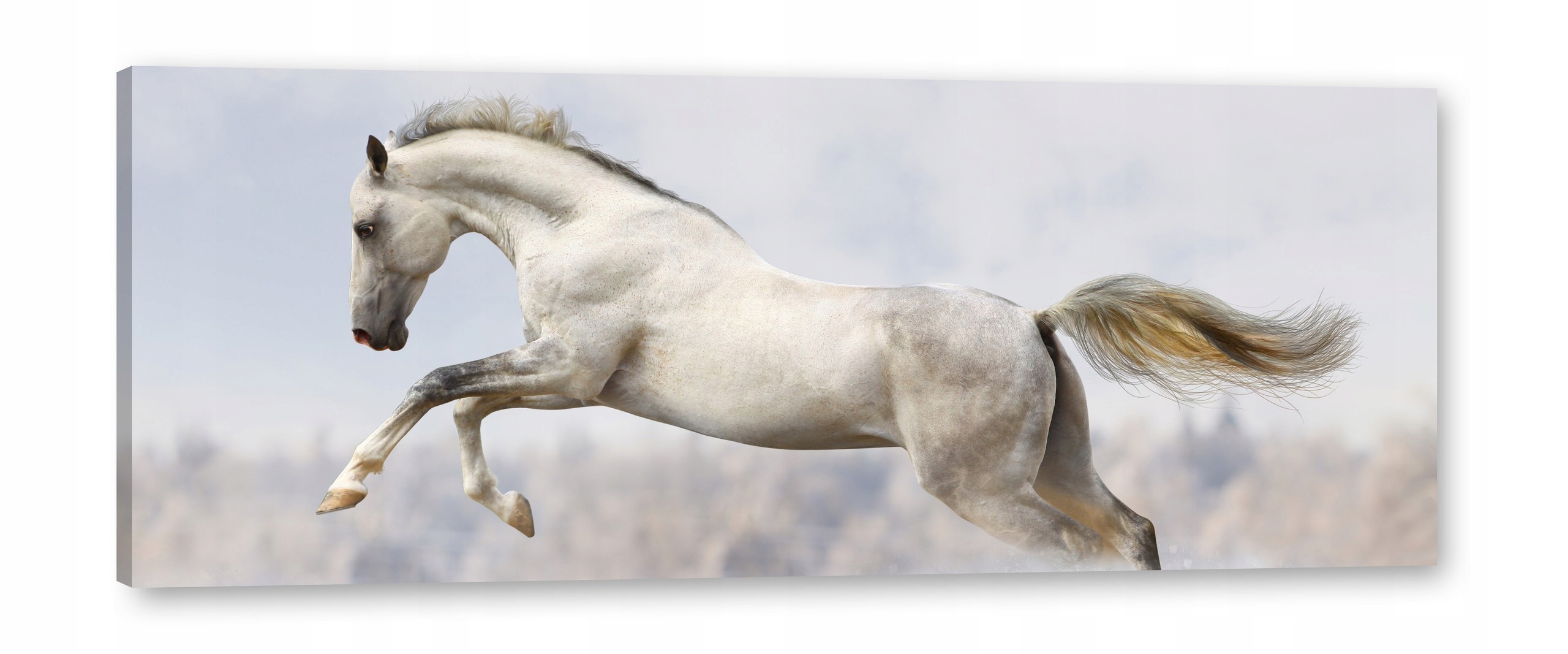 Obraz konia na płótnie CANVAS 130x50 Obrazy • Cena, Opinie • Obrazy ...