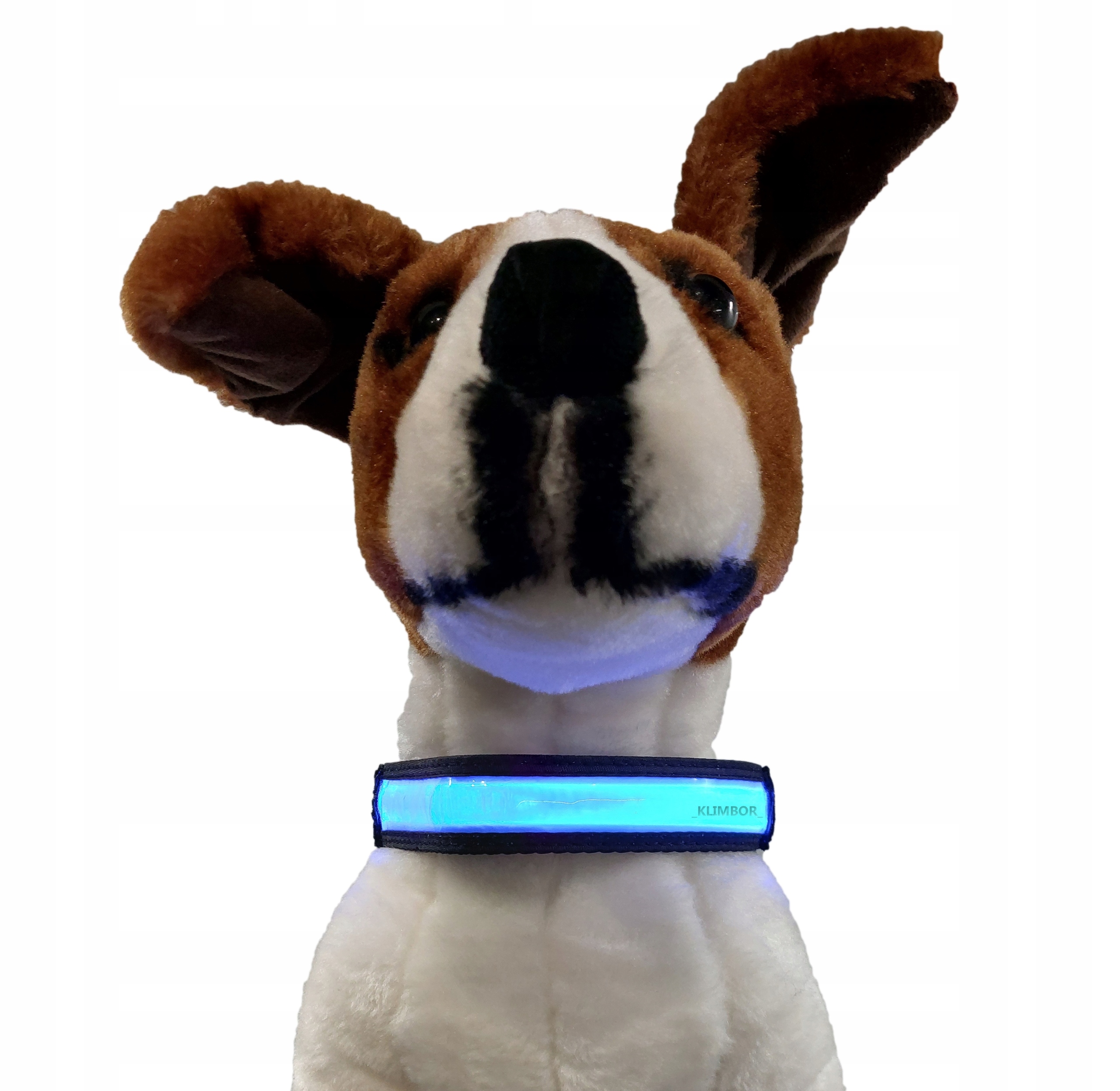 Obroża dla Amstaffa - Niska cena na Allegro.pl