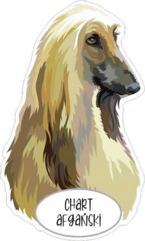 Chart Afgański - Niska cena na Allegro