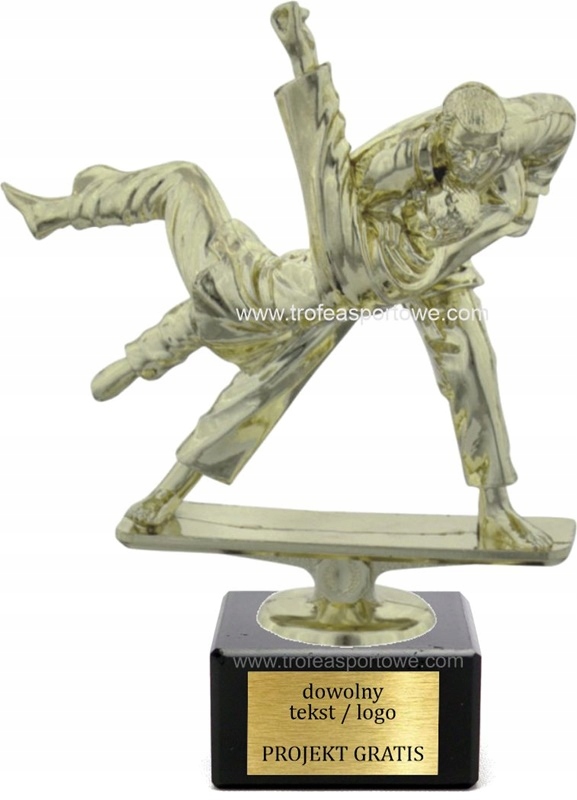 statuetka JUDO ZAPASY SPORTY WALKI 15cm +GRAWER - 12056843244 - Allegro.pl