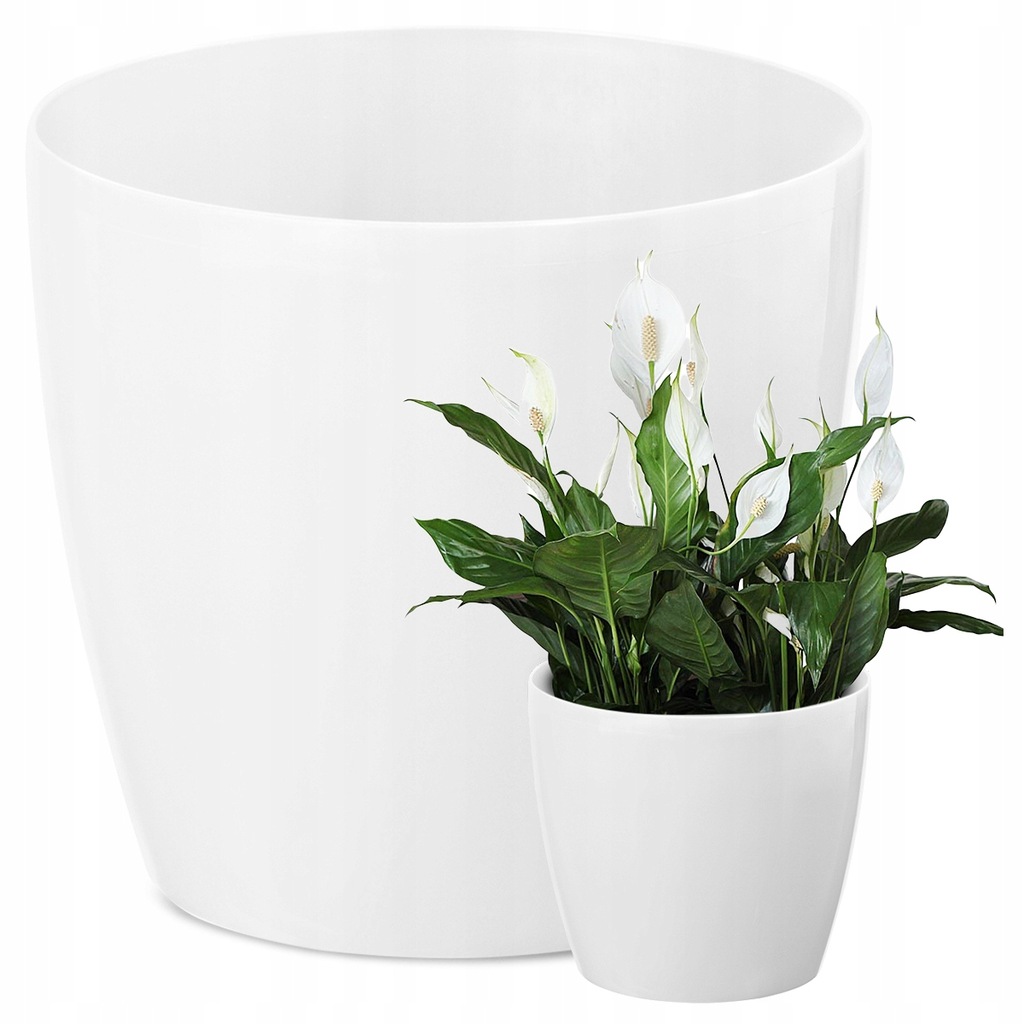 DONICZKA DONICA MISA KWIETNIK SKRZYNIA OSŁONKA BIAŁY POŁYSK 21x18,5cm (5907367611847) • Cena ...