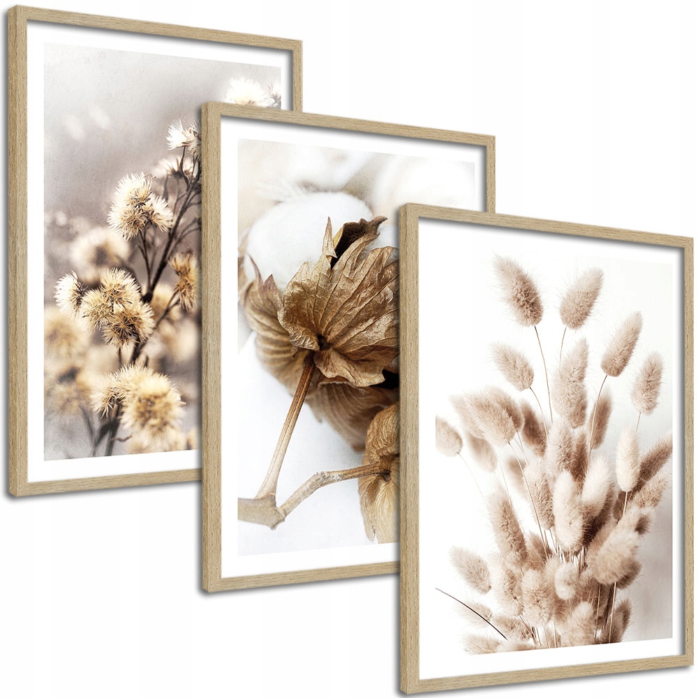 Foto Obraz V Rámu - Nízká cena na Allegro