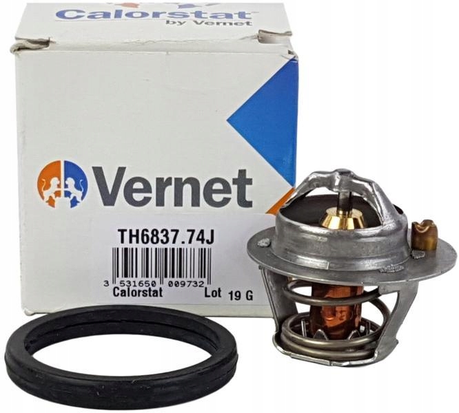 Termostat Ford Focus Mk1 - Niska cena na Allegro.pl