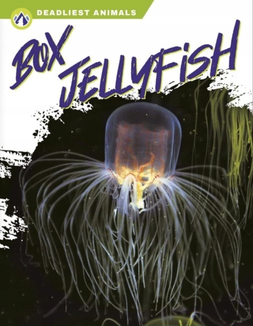 Deadliest Animals: Box Jellyfish Connor Stratton Książki dla dzieci ...