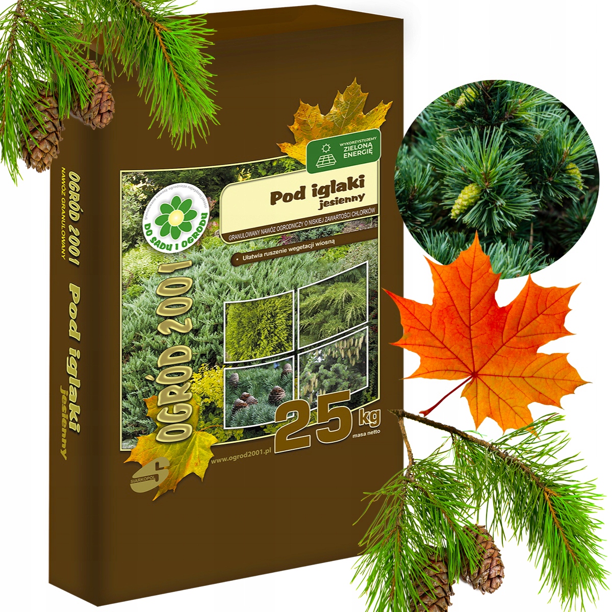 Nawóz do Świerków - Niska cena na Allegro