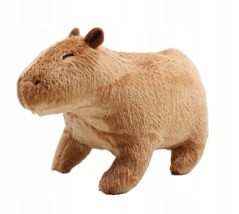 KAPIBARA Maskotka Pluszak Capybara Miś 19,5 cm 13340926297 - Allegro.pl KAPIBARA Maskotka Pluszak Capybara Miś 19,5 cm 13340926297 - Allegro.pl