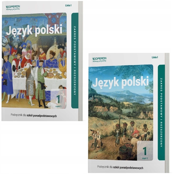 Język polski 1 Część 1 Podręcznik Zakres podstawowy i rozszerzony Magdalena Steblecka-Jankowska ...