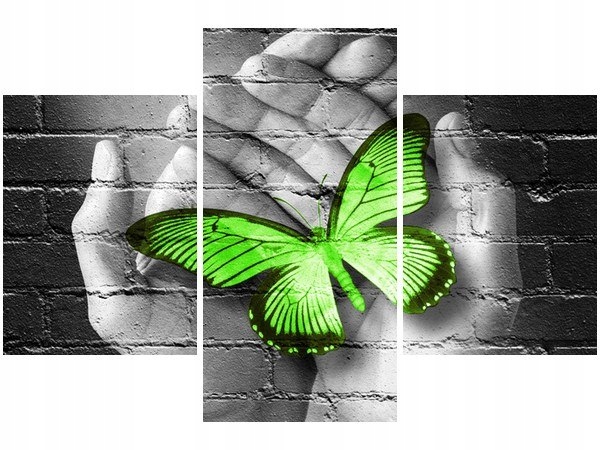 90x60cm obraz Obraz Green Butterfly motyl dłoń cegła trzy obrazy ścian ... 90x60cm obraz Obraz Green Butterfly motyl dłoń cegła trzy obrazy ścian ...
