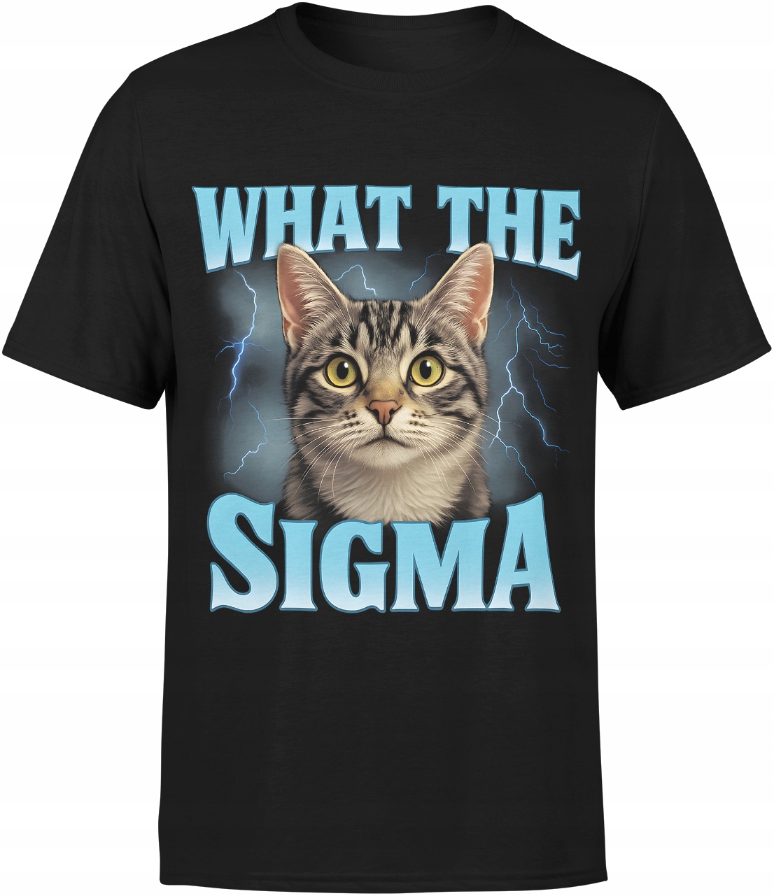 KOSZULKA WHAT THE SIGMA KOT Z KOTEM ŚMIESZNA TIK TOK MEMY MEME MĘSKA R ...