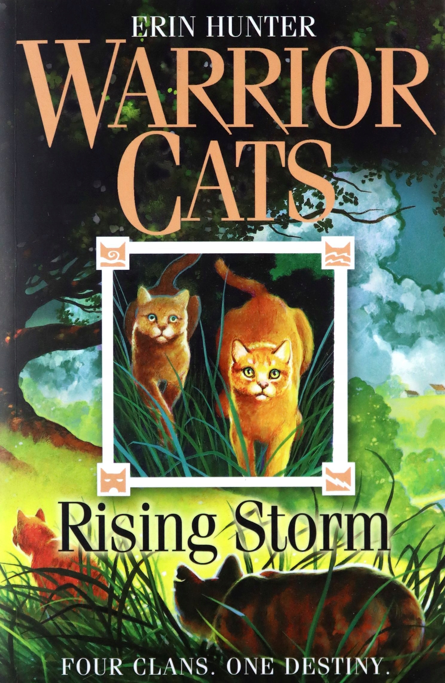 RISING STORM (WARRIOR CATS): FOUR CLANS. ONE DESTI (14871743052 ...