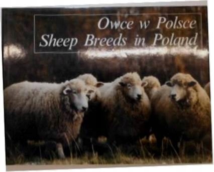 Owce w Polsce Sheep Breeds in Poland Praca zbiorowa Biografie ...