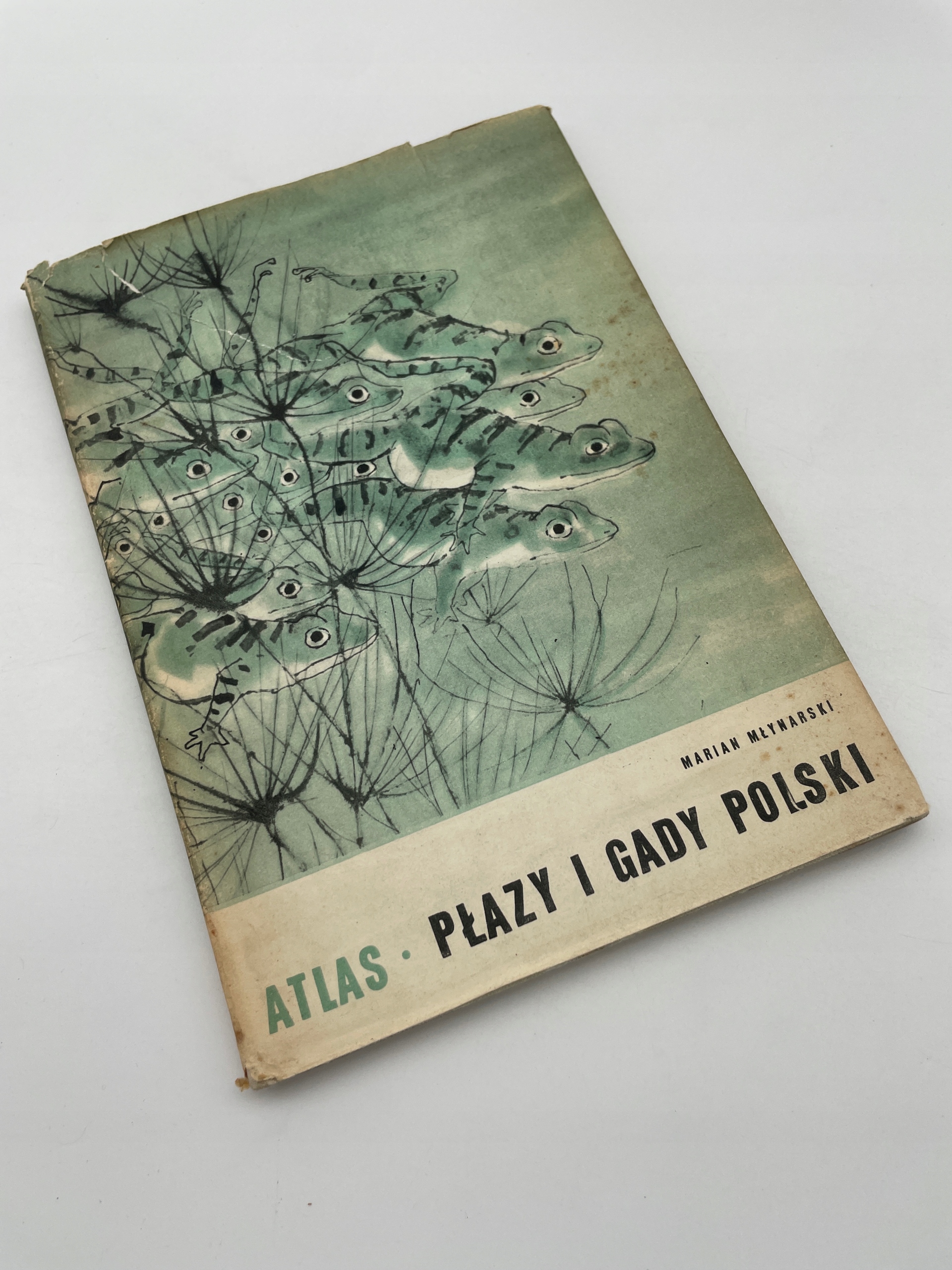 PŁAZY I GADY POLSKI Marian Młynarski • Cena, Opinie - Allegro