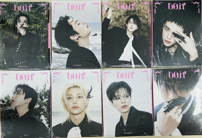 STRAY KIDS - DO IT - ACCORDION VER/ Wersja losowa- Pre-Order gift ...