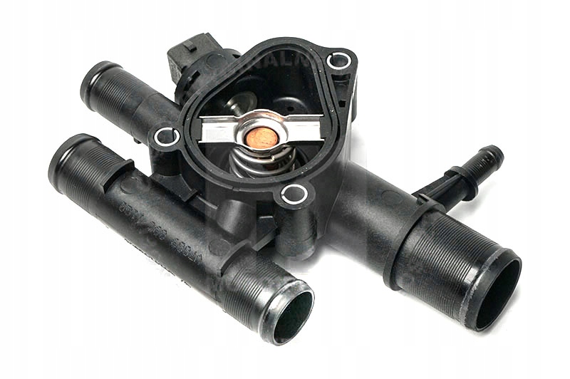 8200674368 8200674368 - Термостат оригинал RENAULT LAGUNA II 1.9 dCi ...