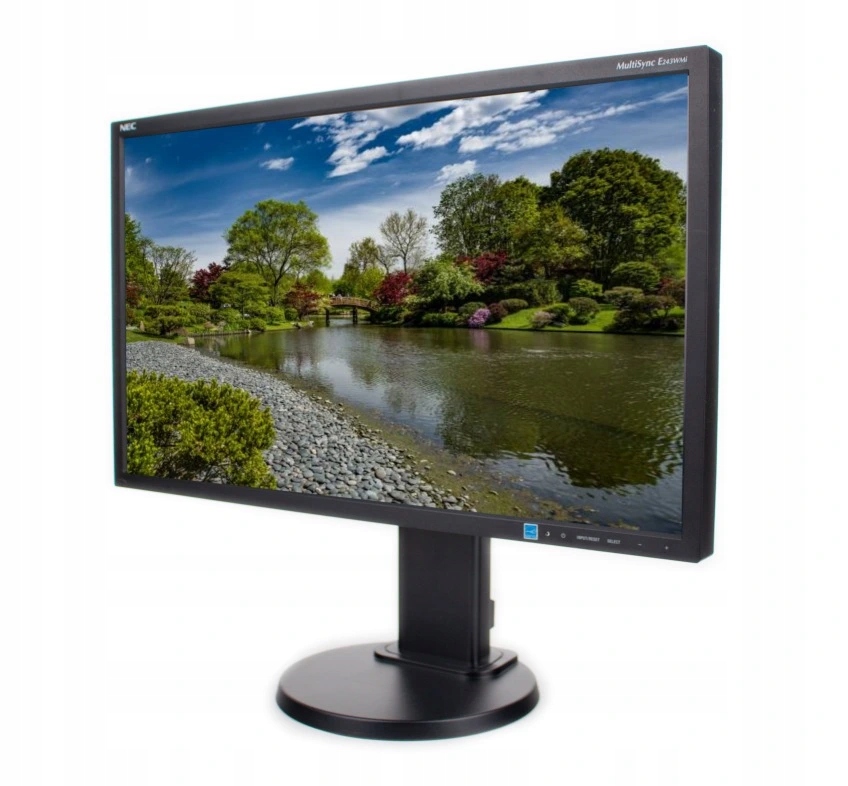 Monitor LED NEC MultiSync E243WMi 23,8 " 1920 x 1080 px IPS / PLS - porównaj ceny - Allegro.pl