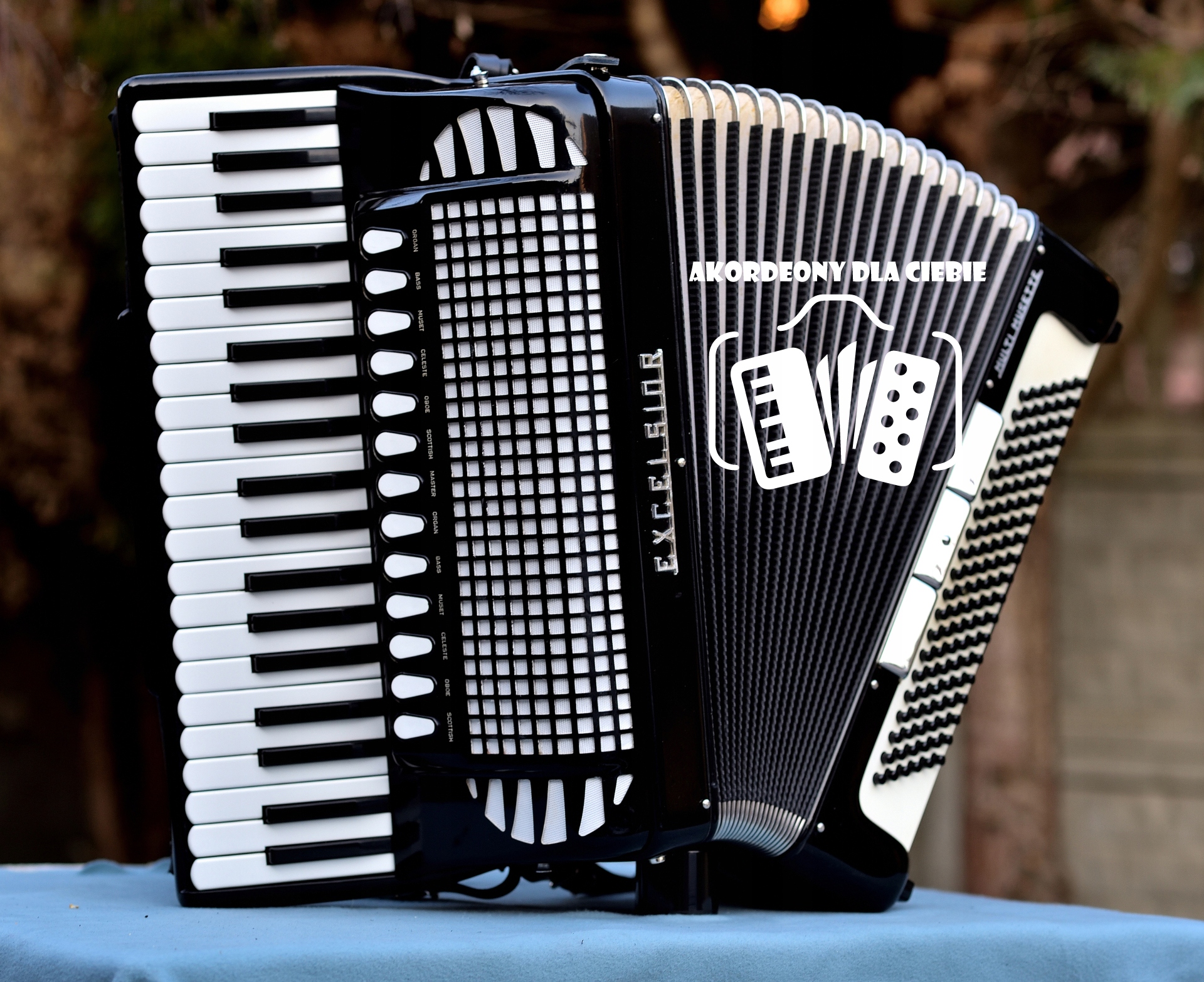 Akordeony Excelsior - Instrumenty klawiszowe - Allegro.pl