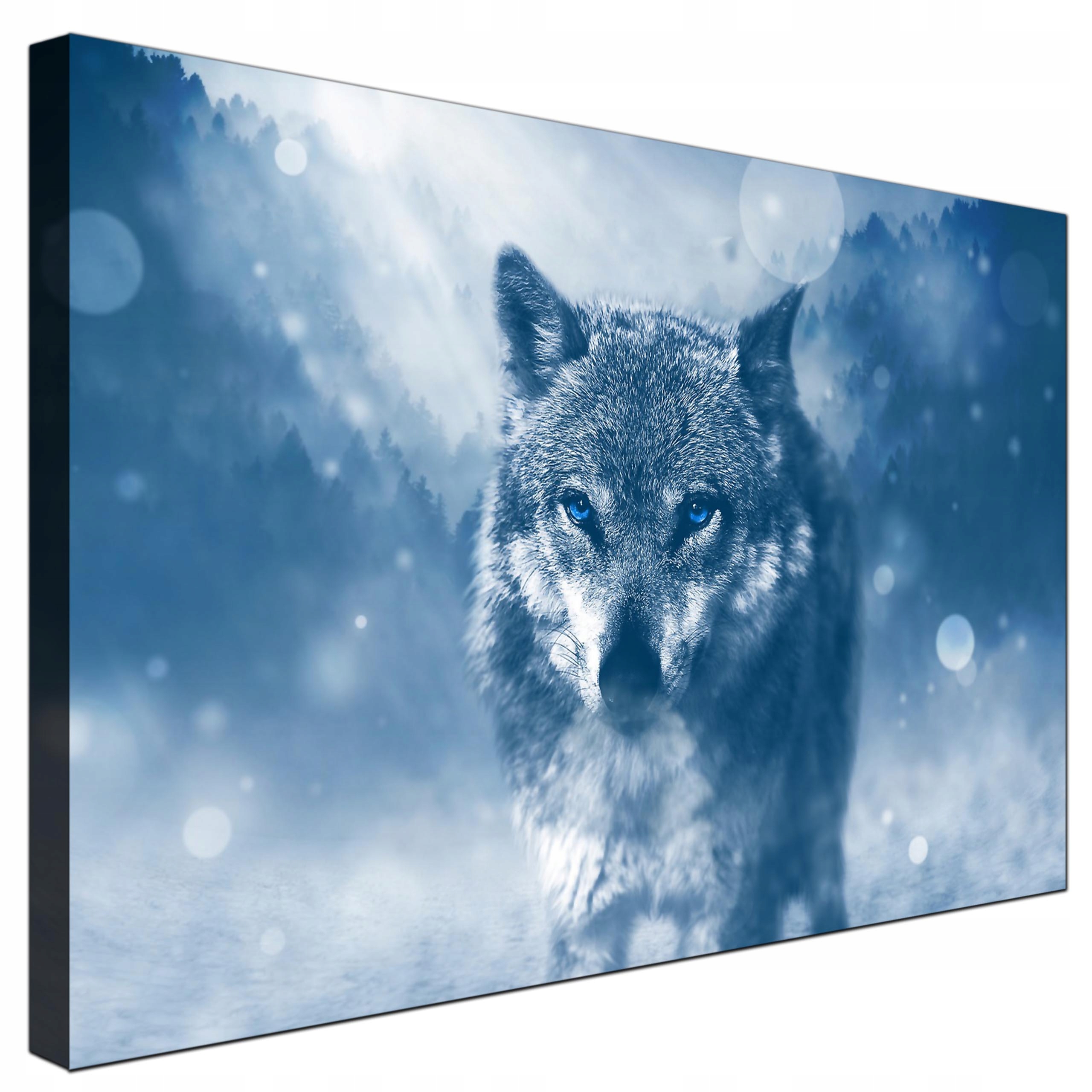 Obrazy do salonu wilk noc 90x60 ściana płótno • Cena, Opinie • Obrazy ...