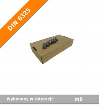 Kołek walcowy DIN 6325 4x60 - 100szt. (5907601314268) • Cena, Opinie ...