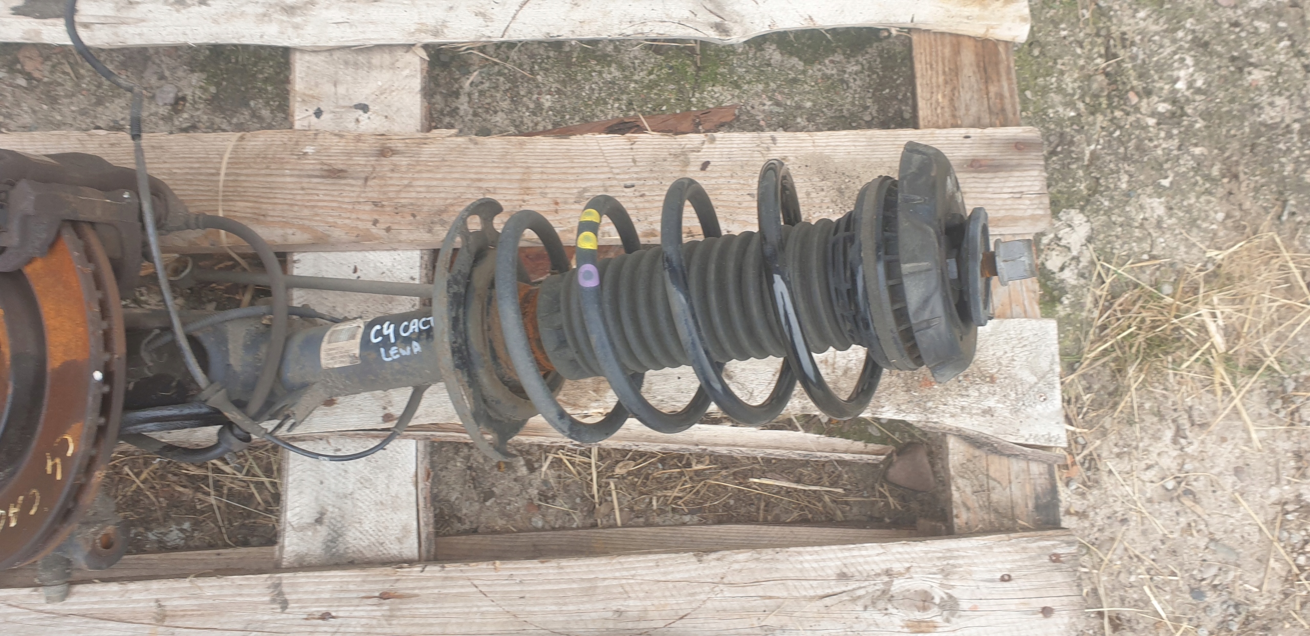 Mcpherson C4 CACTUS LIFT MCPERSON ZWROTNICA AMOR LEWY P60 9811879180 ...