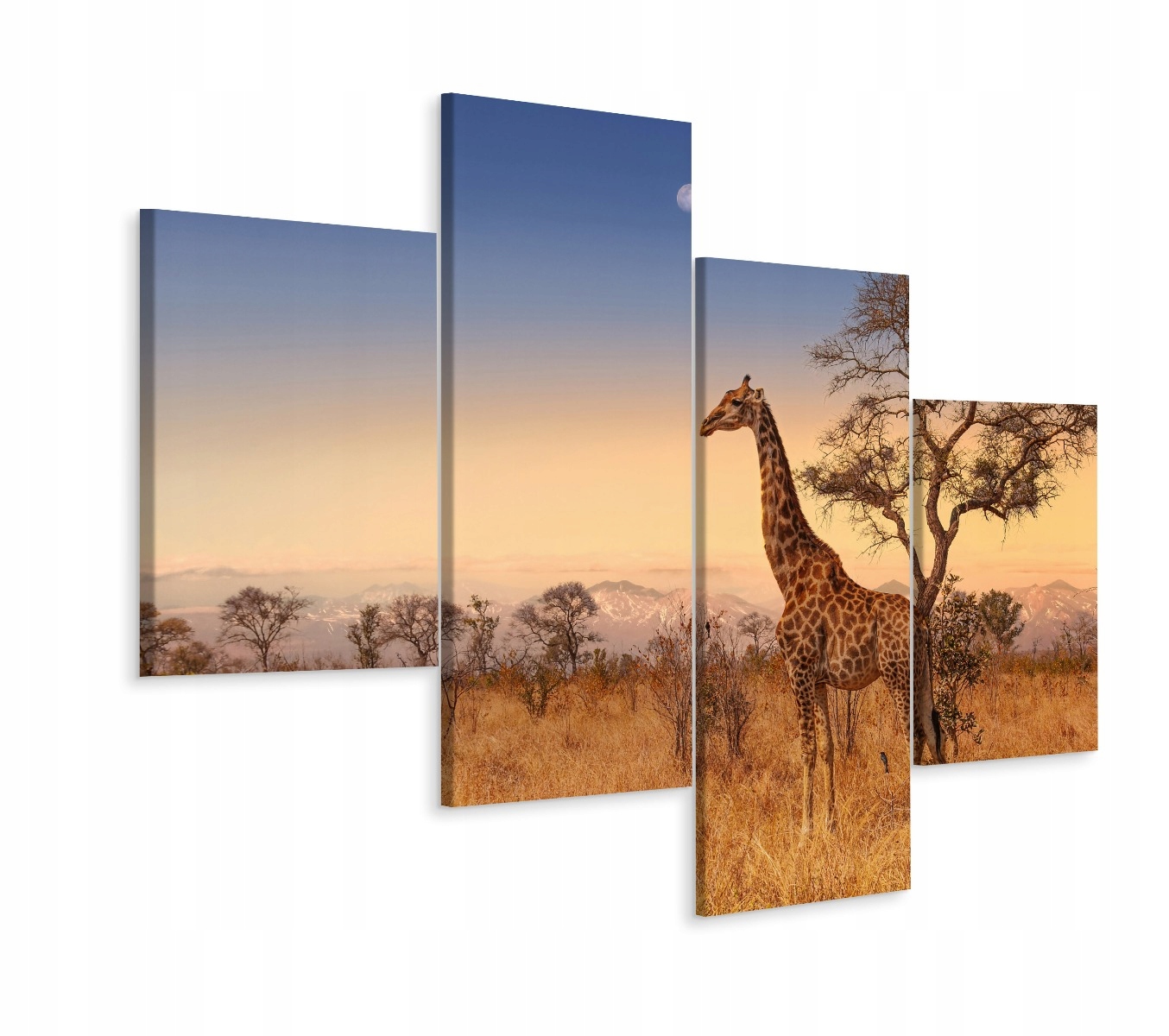 Obraz Tetraptych ŽIRAFA Stromy Hory Príroda 160x100 - Allegro