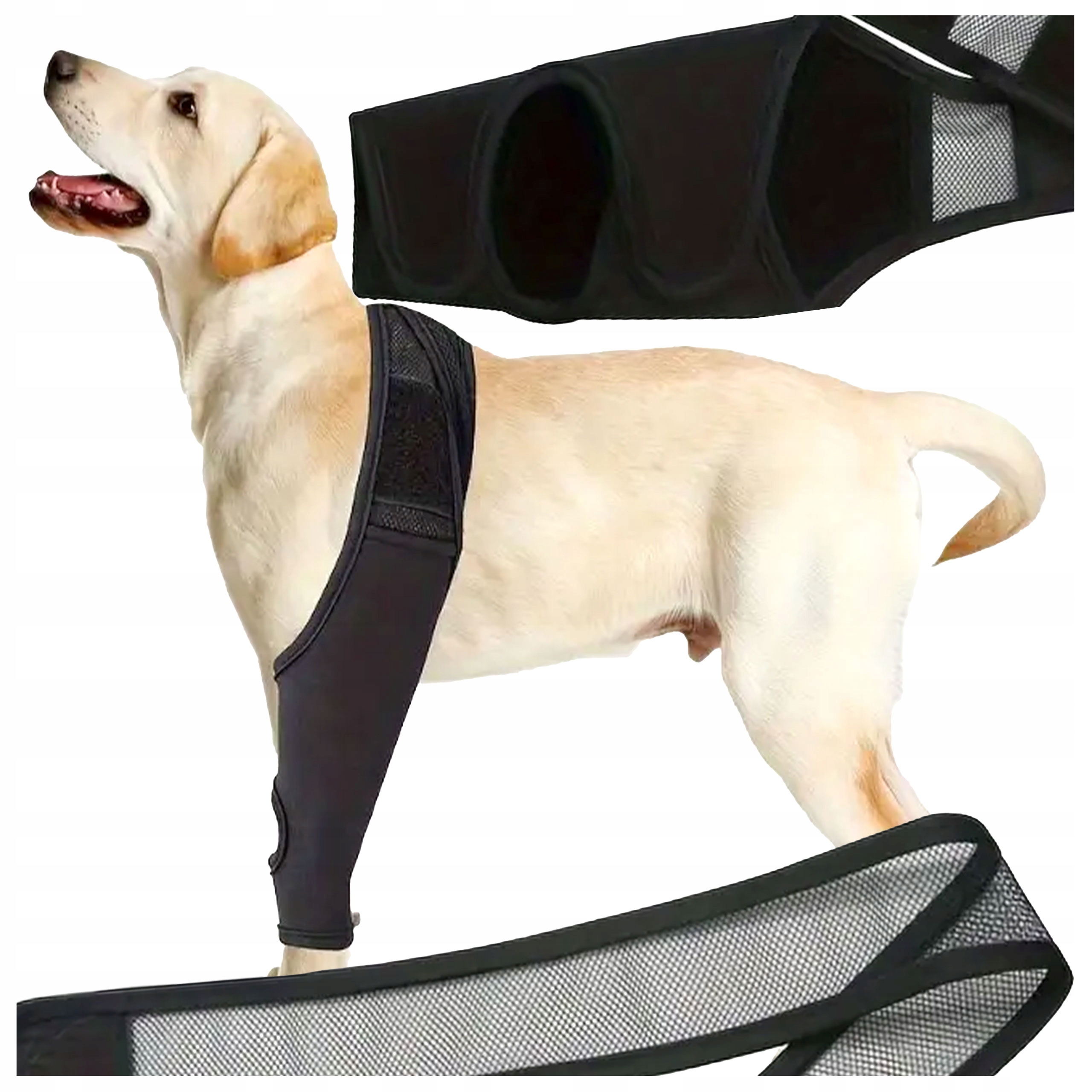 Ortéza členkového kĺbu Predná labka pre psa Antitraumatický ...