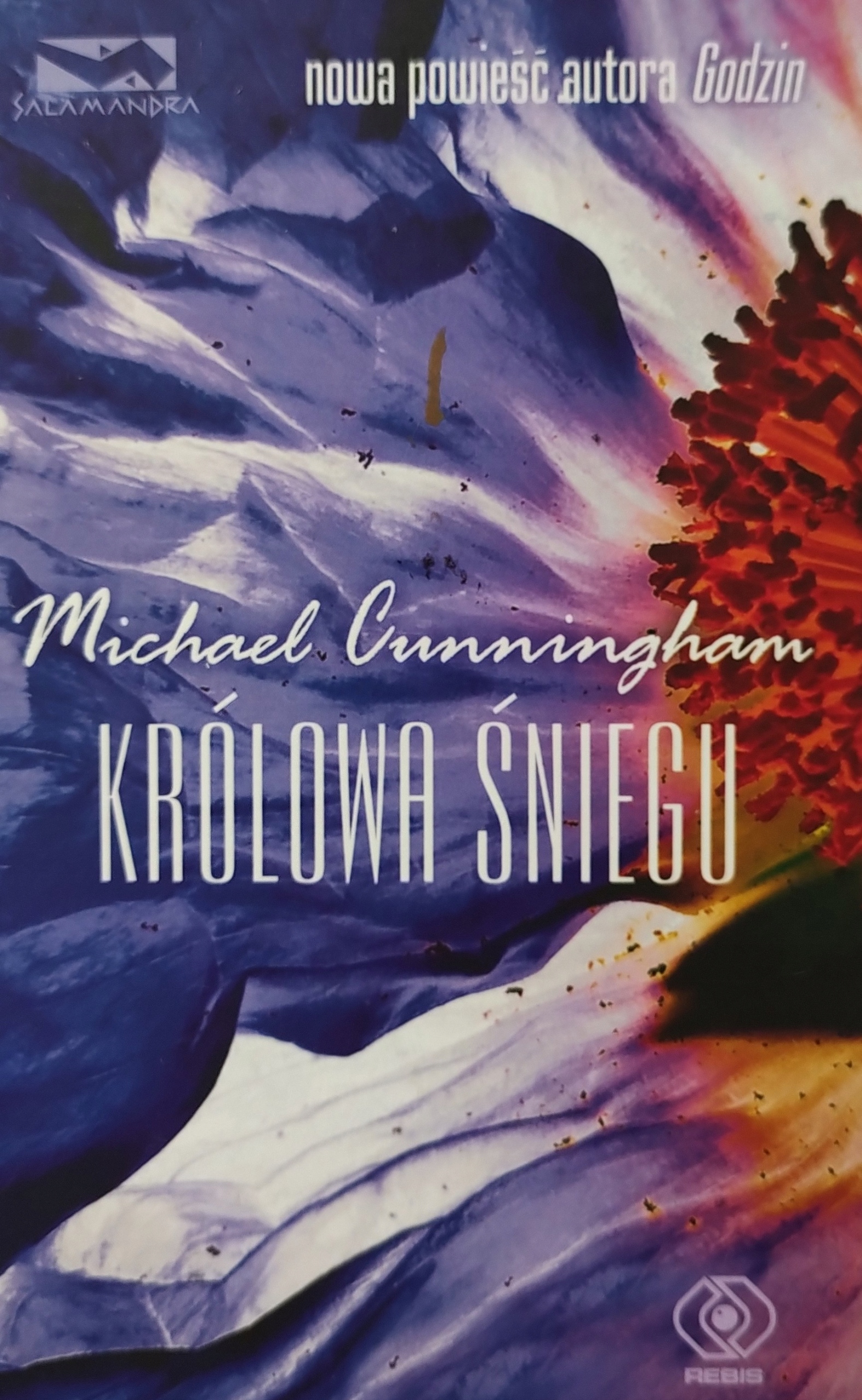 Królowa śniegu Michael Cunningham 17597123245 - Charytatywni Allegro
