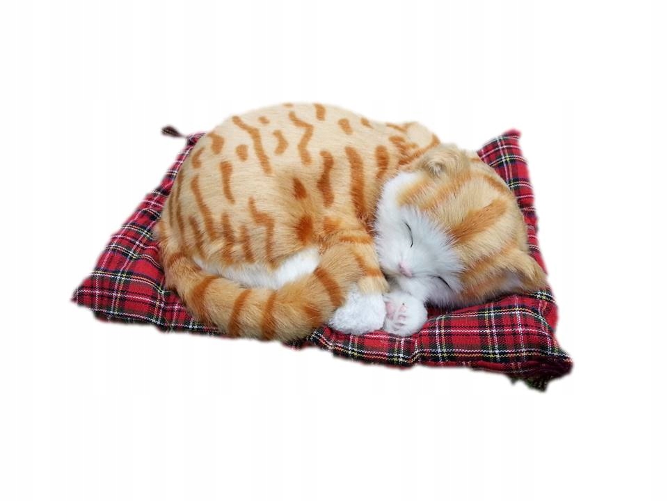 Maskotka kotek 7 cm 3 lata + - porównaj ceny - Allegro.pl