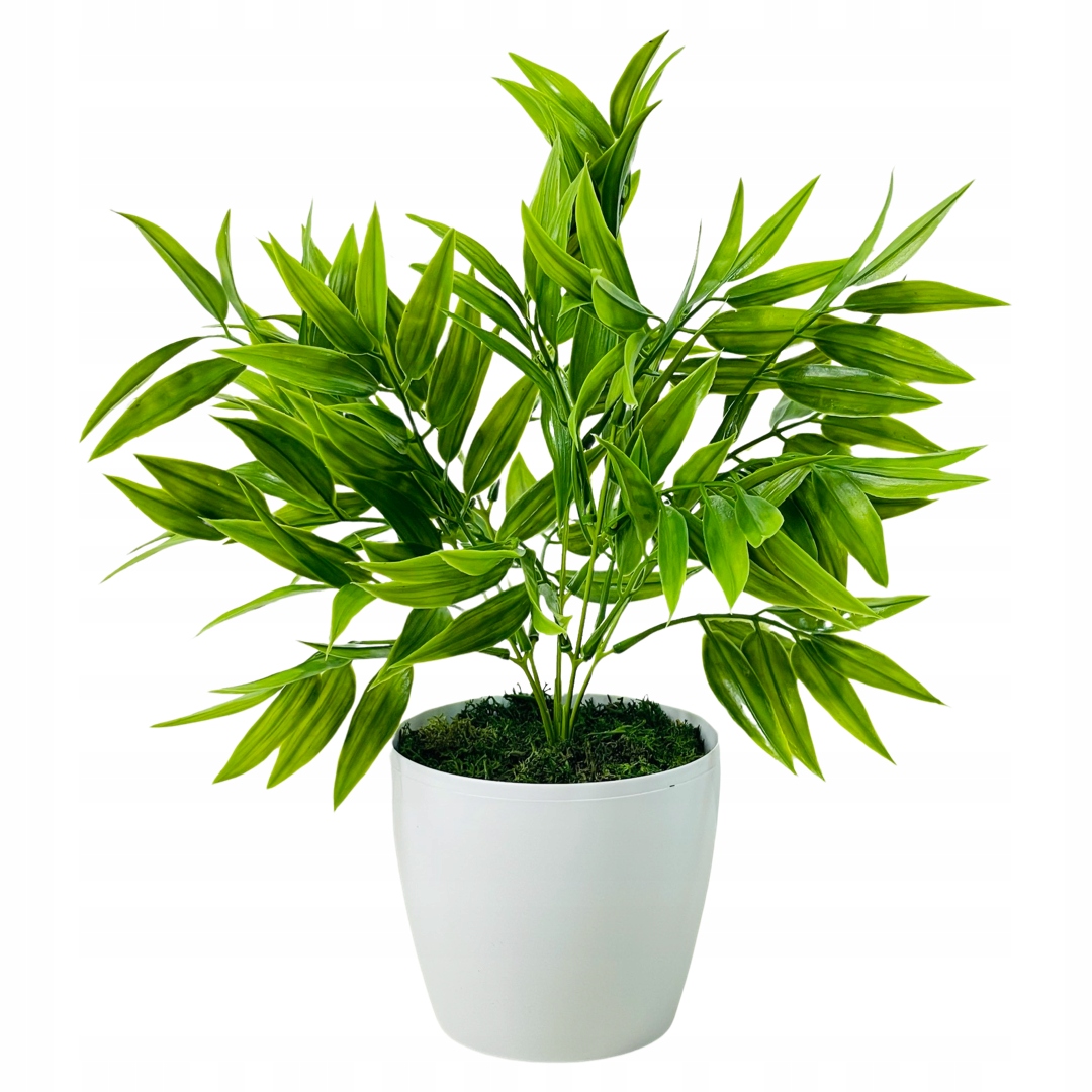 RUSKUS KWIATEK DONICZKOWY SZTUCZNE KWIATY DO BIURA KWIATY DONICZKOWE ...