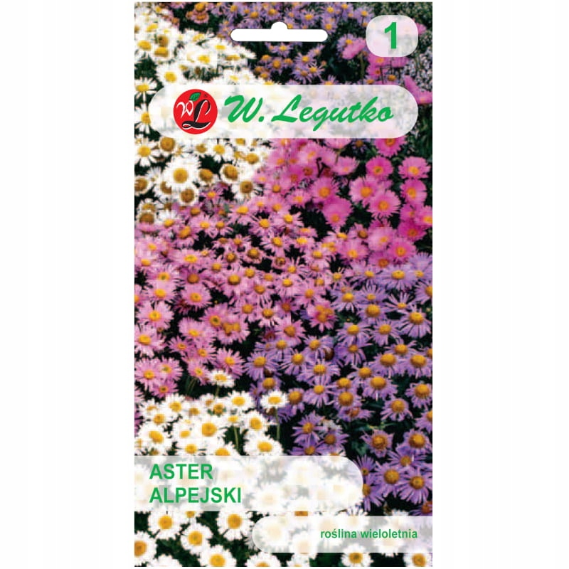 ASTER ALPEJSKI mieszanka nasiona 0,3g (5903837040001) • Cena, Opinie ...