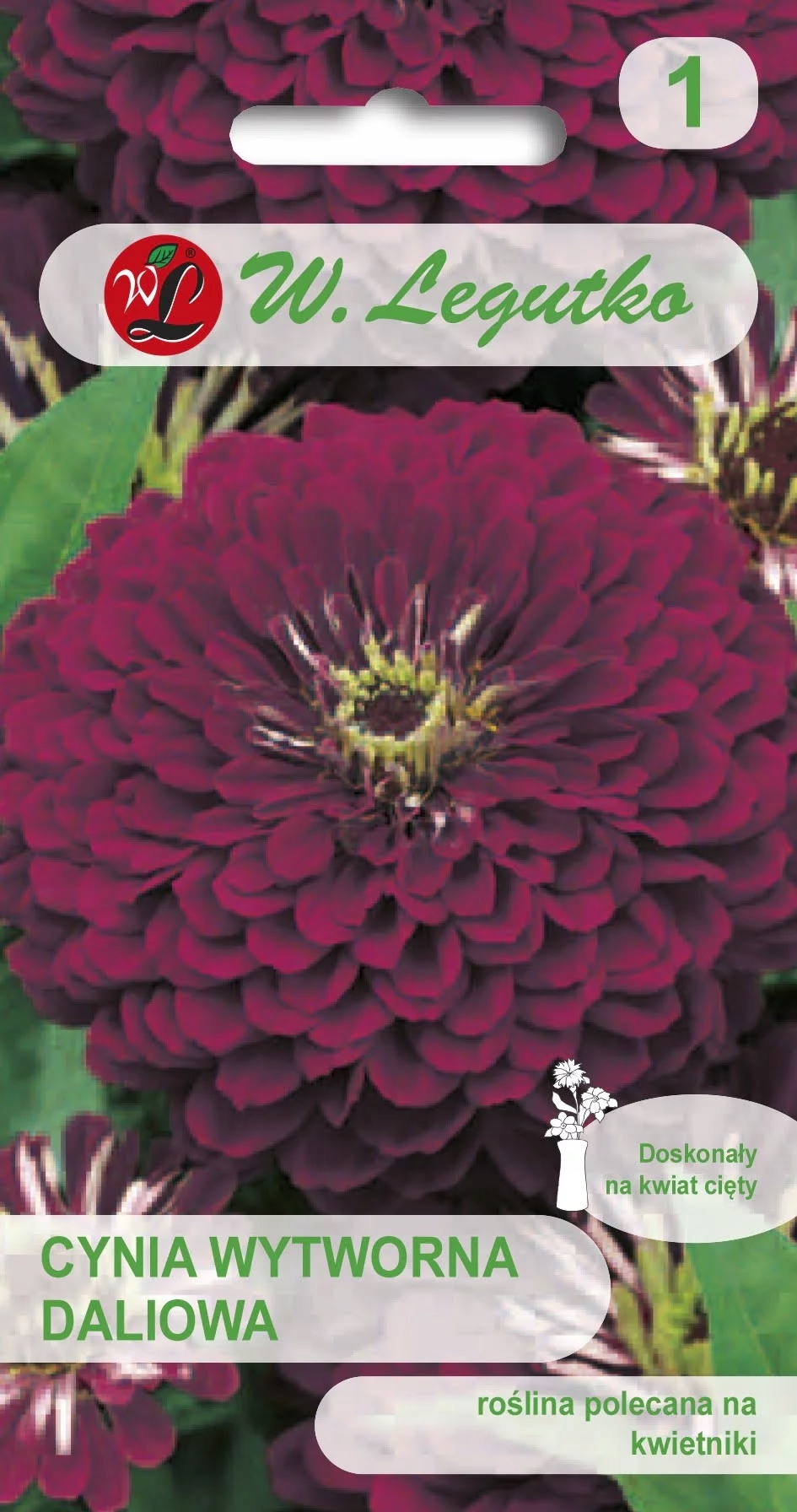 Nasiona cynie Cynia wytworna daliowa Violet Queen - fioletowa 1 g ...