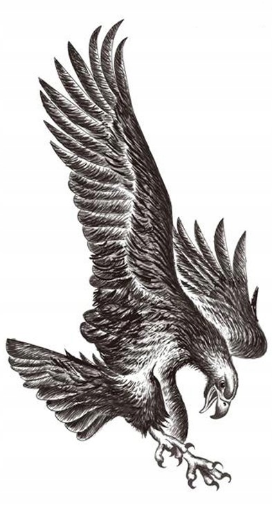 Mocny Tatuaży tymczasowy z orłem Duży wybór wzorów Orzeł TM66 ...