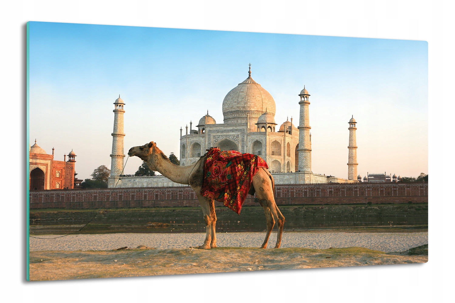 Splashback nyomat 80x52 cm-es, teve és Taj Mahal fotóval, • Ár ...