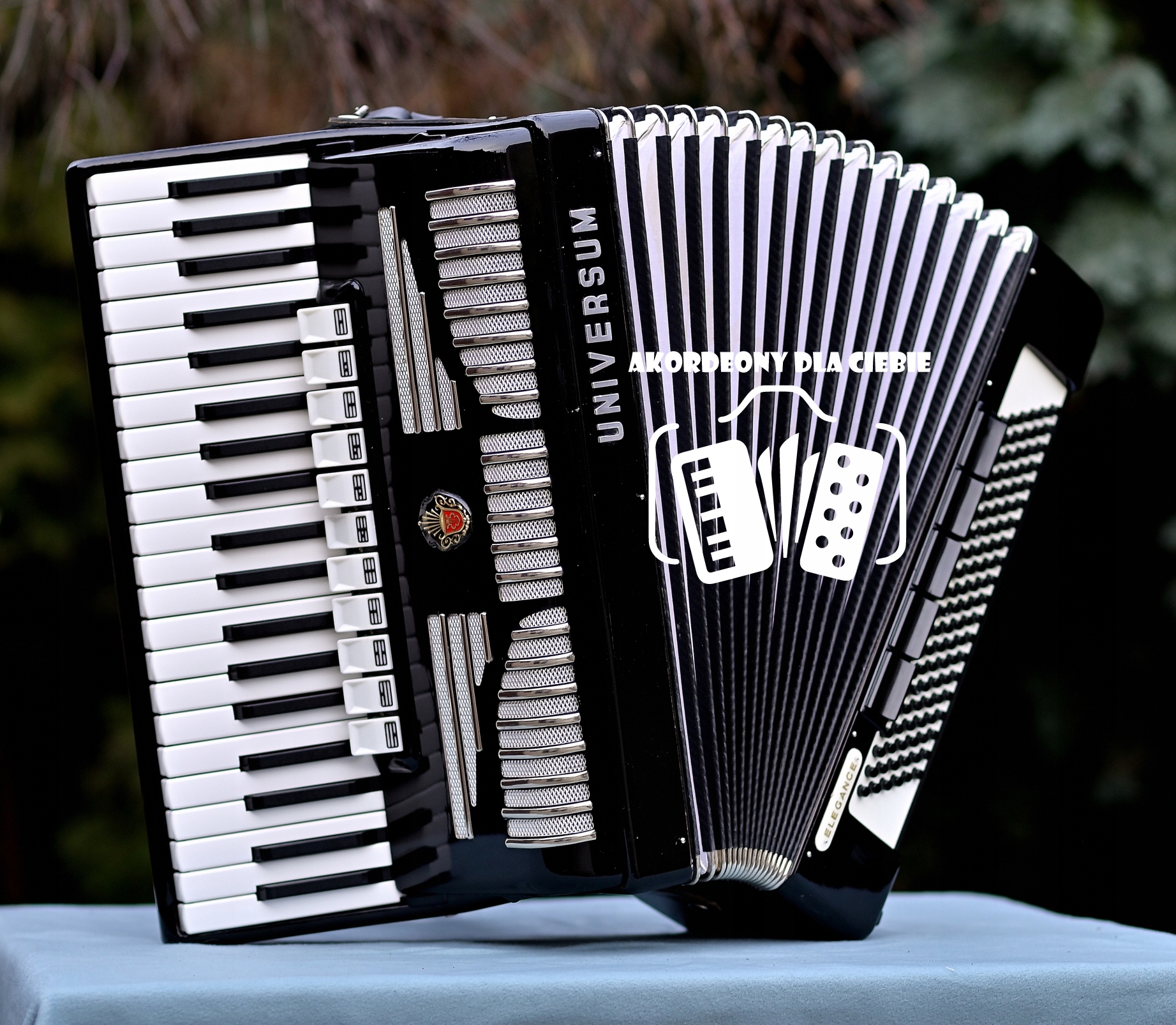 Akordeon Weltmeister Universum Elegance 120 basów 4 chóry 15094076674 ...