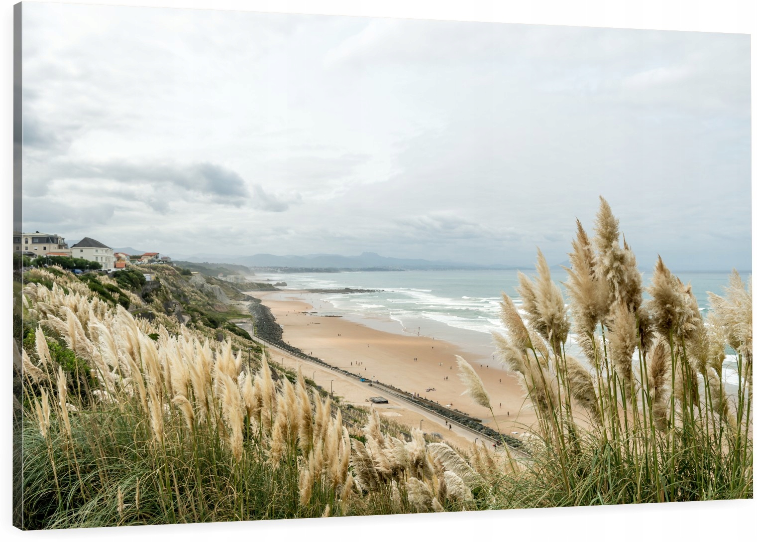 OBRAZ NA PŁÓTNIE plaża morze trawa boho traw120x80 • Cena, Opinie ...