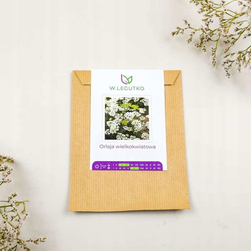 Orlaja wielkokwiatowa 3g - Nasiona - W. Legutko (5903837263561) • Cena ...