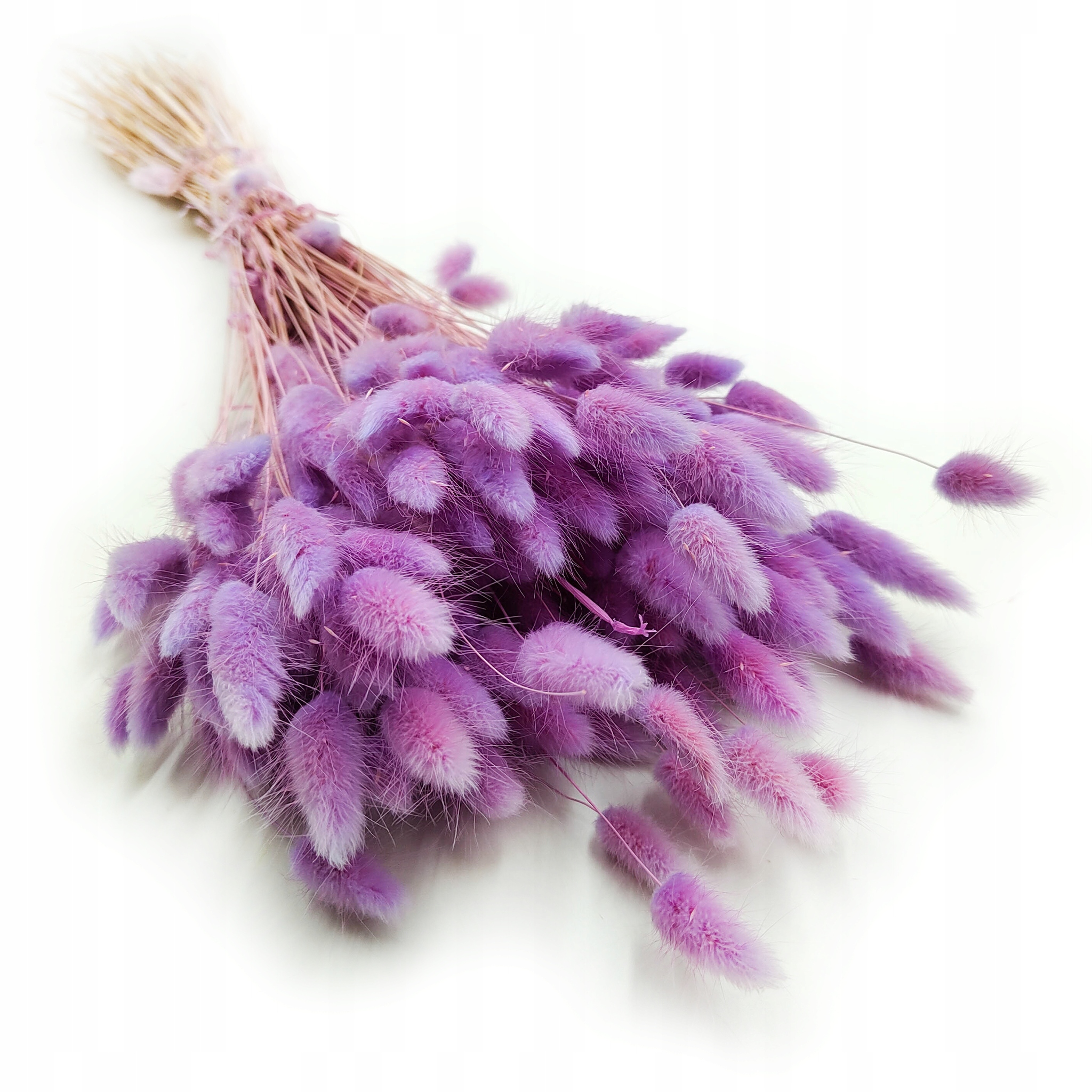 Sušený Lagurus Dudlík vaječný vřesový - kytice - Allegro